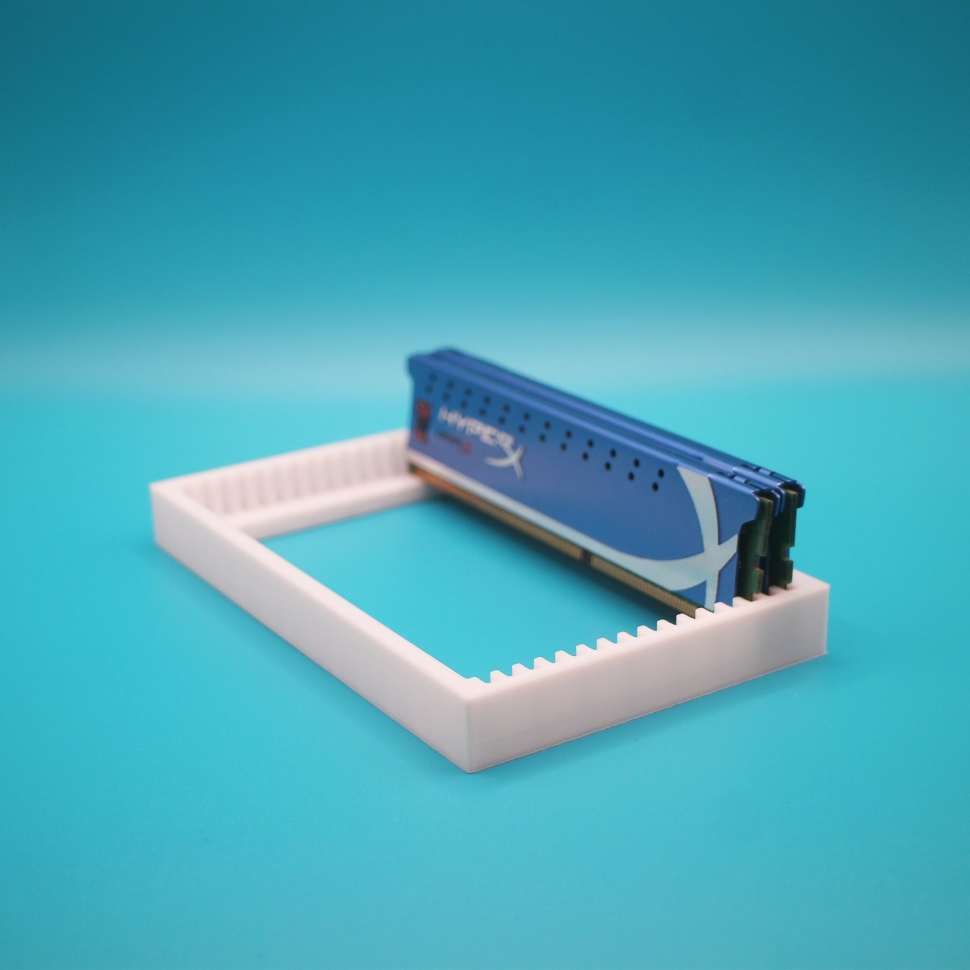 Full-Size DIMM Storage – Organize & Protect Your Memory Modules – Ez ...